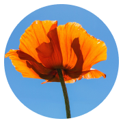 Enterprise EHS Saas Platform